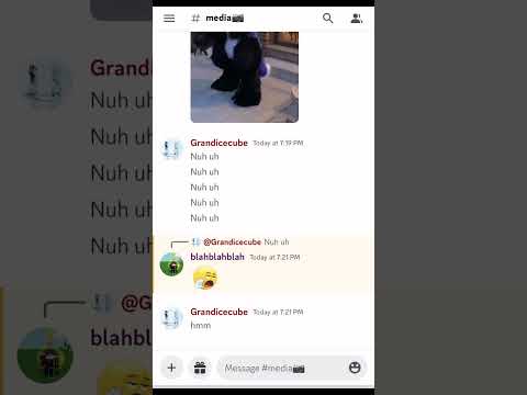 Average discord chat bubble user: