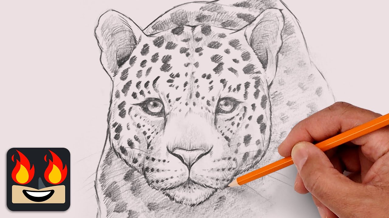 How To Draw a Jaguar | Sketch Tutorial (Step-by-Step)