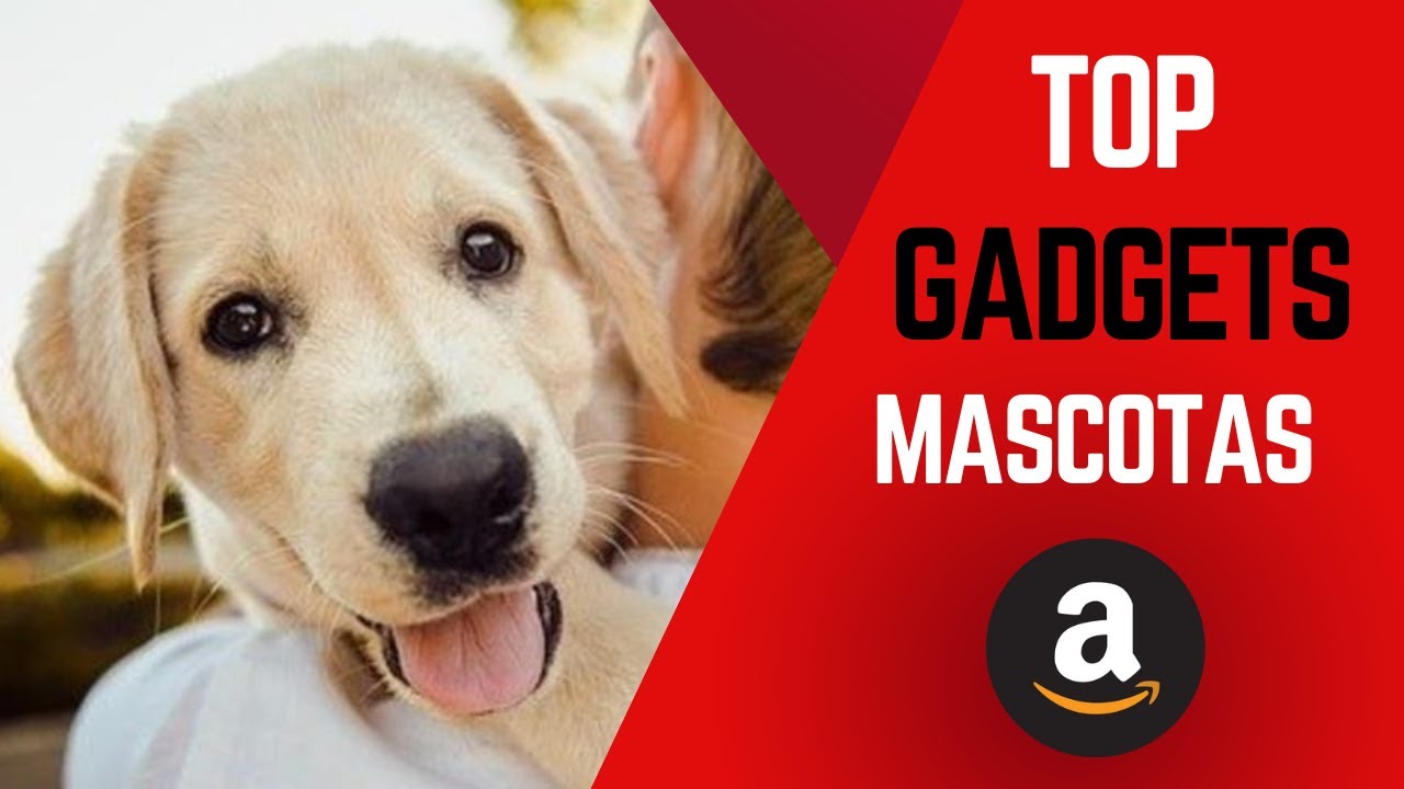 🐶♥Los 5 mejores JUGUETES para perros de amazon