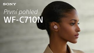 Sony WF-C710N od 1 574 Kč - Heureka.cz
