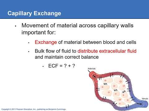2420 Ch14 Capillaries and Lymphatic System Audio