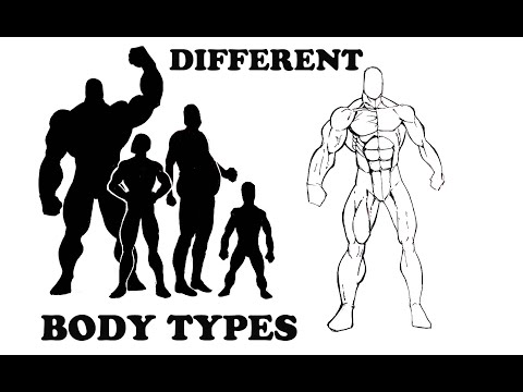 How To Draw Different Body Types The Male Body