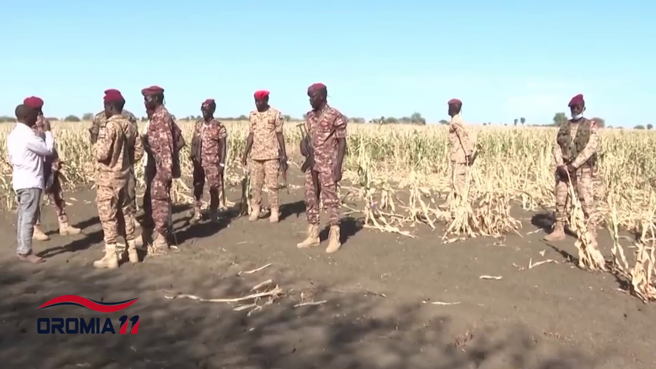 Oromia11: Oduu 2/19/2021