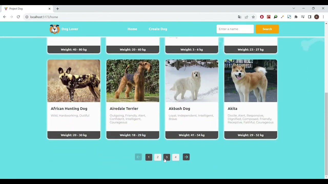 PI Dogs - Bootcamp Henry