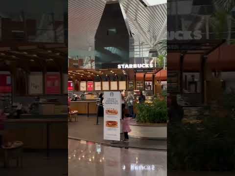 What to eat? Inside the Bangalore International Airport Departure Terminal! #food #airport