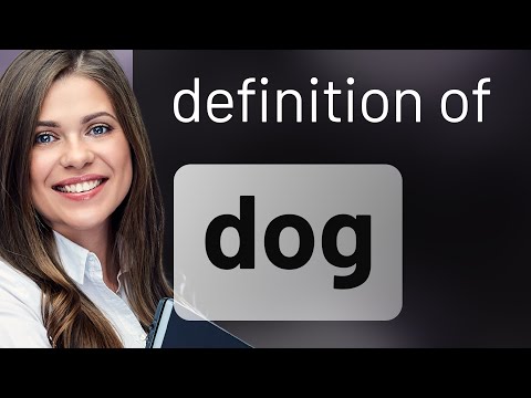 Dog — DOG meaning