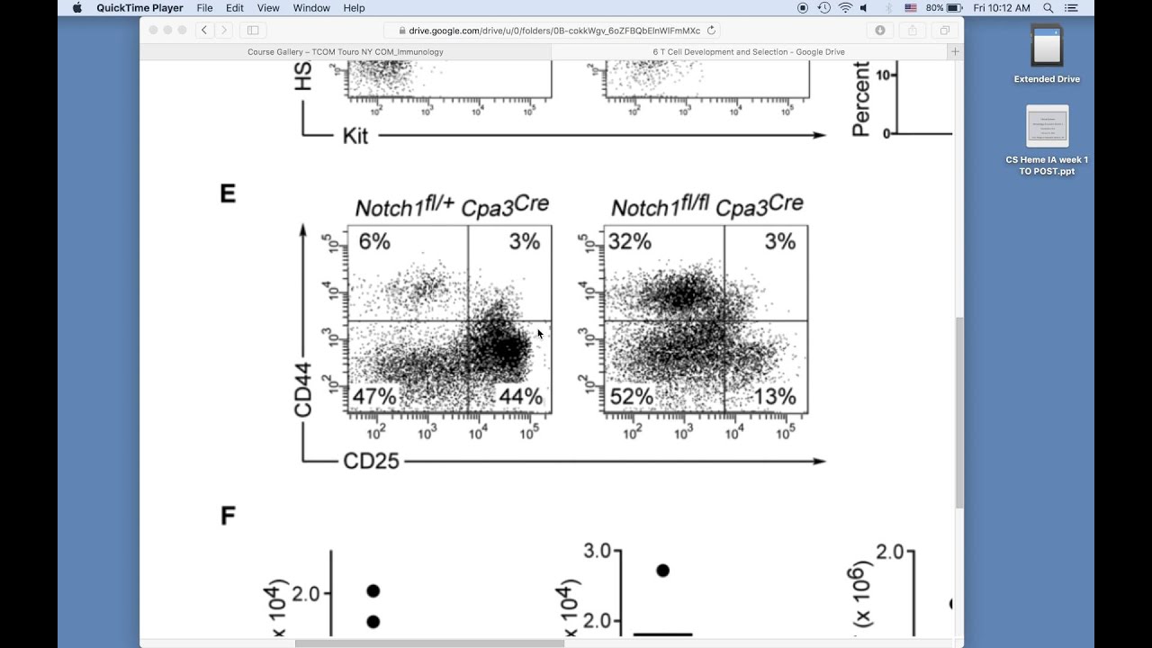Flow Cytometry