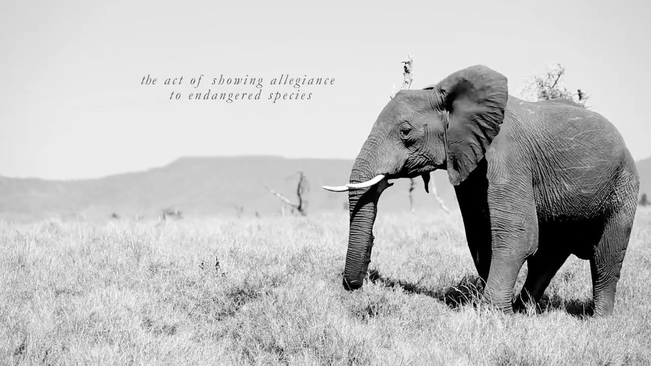 Render Loyalty - Fine Art Print Shop