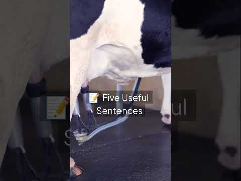 Milk – Easy English Word with Meaning and Sentences #shorts #englishlanguage #englishvocabulary