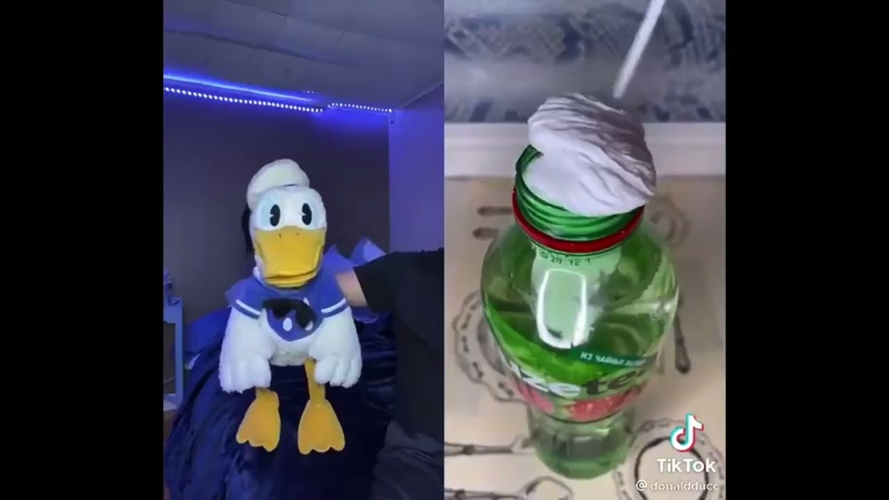 DonaldDucc: ThAt’s DiSgUsTiNg