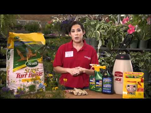 How do I control weeds in my yard?