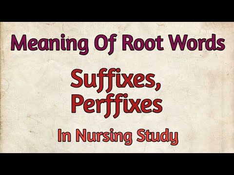 Meaning of Root Word & Suffixes & Perffixes In Nursing Study