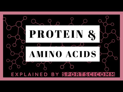 The Story of Protein | Rugby Science