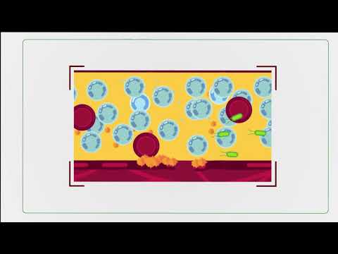 كل مايجب معرفته عن فحص التنميط المناعي