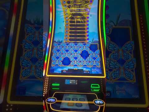 Hitting a HUGE bonus on Butterfly Rise at $4 a spin!! #slot #slots #casino