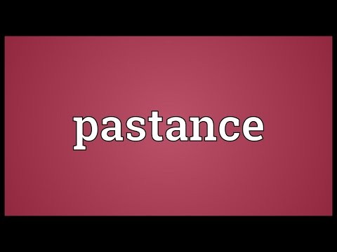 Pastance Meaning