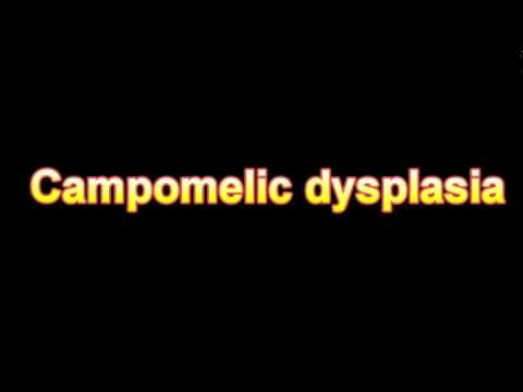 What Is The Definition Of Campomelic dysplasia Medical Dictionary Free Online