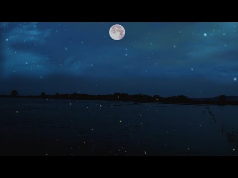 Soothing Crickets After Rain | Nighttime Atmosphere | 3 Hours | 99%For Natural Sleep