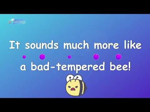 Primary 3 poems | Recap from 'Hong Kong Speech festival' - ED Chirp