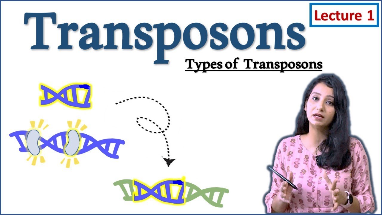 Understanding Transposable Elements: Types and Mechanisms of ...