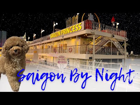 Believe Your Eyes 👀 The Beauty of a Night Cruise on the Saigon River Today 🇻🇳