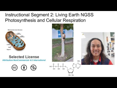 NGSS Photosynthesis and Cellular Respiration 2022
