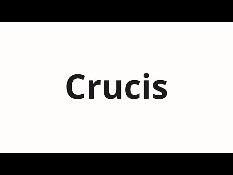 How to pronounce Crucis