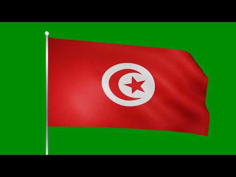 TUNISIA FLAG ANIMATION GREEN SCREEN (4K LOOP VIDEO)