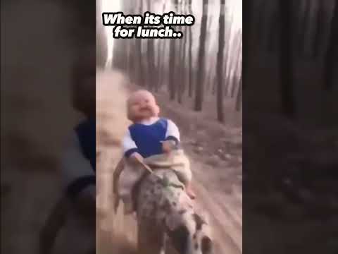 When its time for lunch #memes #funny