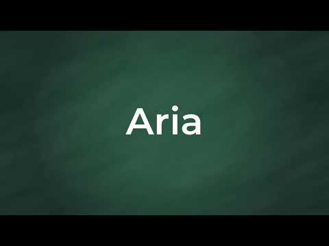 Aria : Definition, Pronunciation, Examples, Synonyms
