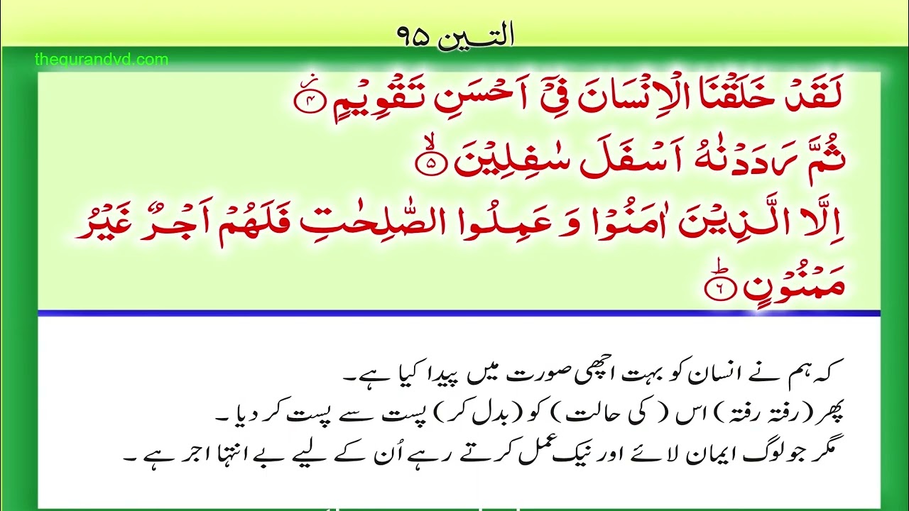 Surah At Tin 95 with Urdu translation of each Ayat