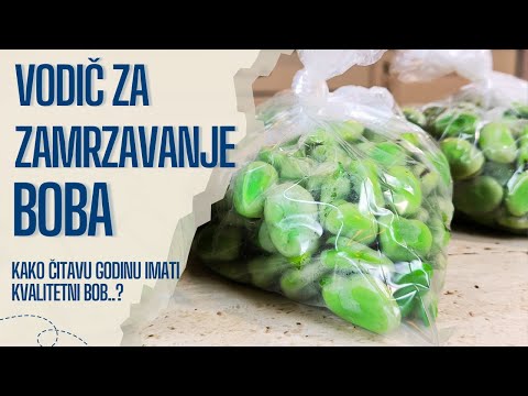 Kako Zamrznuti i Blanširati Bob za Zimnicu? Spremili smo Jednostavnu Salata od Boba..!