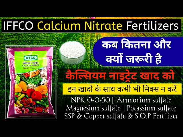 Calcium Nitrate - Npk 13 00 45 Water Soluble Fertilizers Trader ...