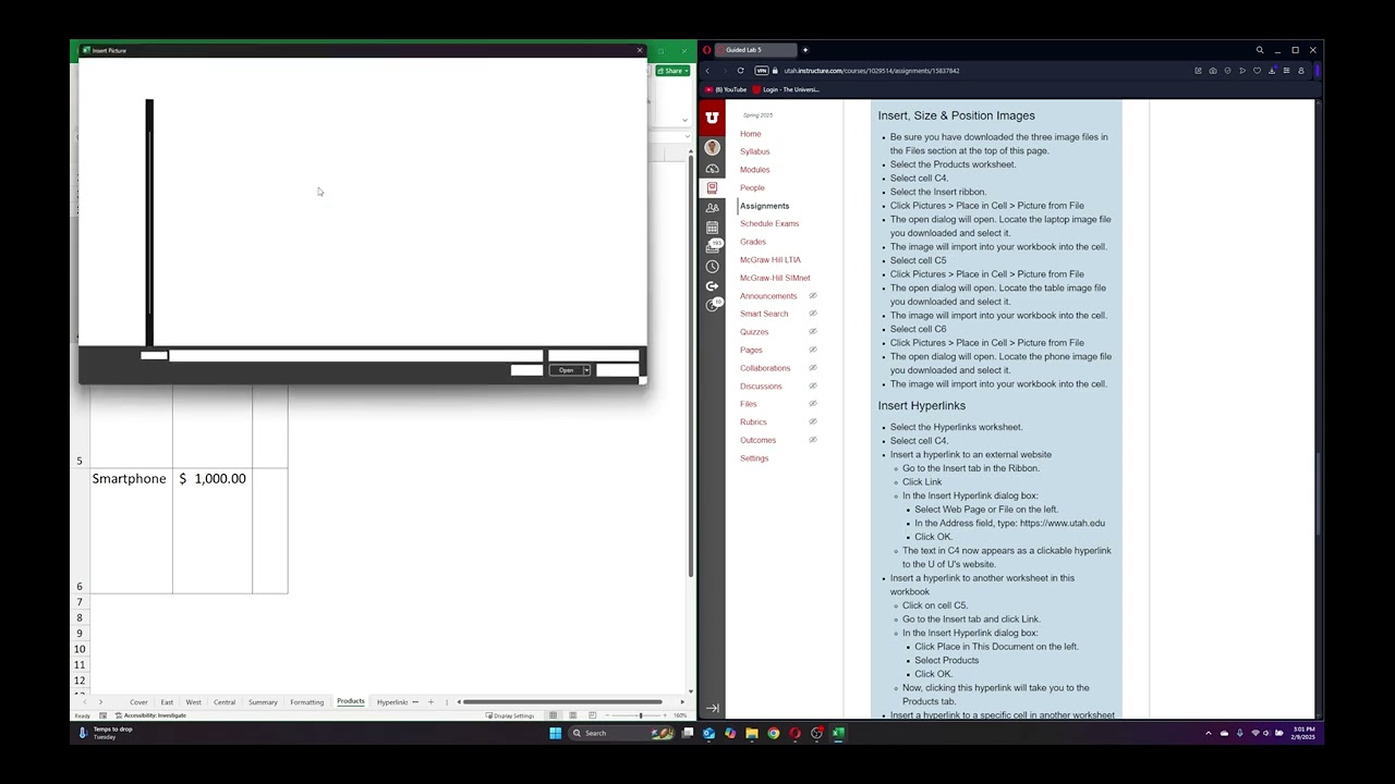 Guided Lab 5 - IS 2010
