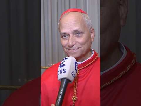 pope leo xiv on why the church must welcome all #popeleoxiv #faith