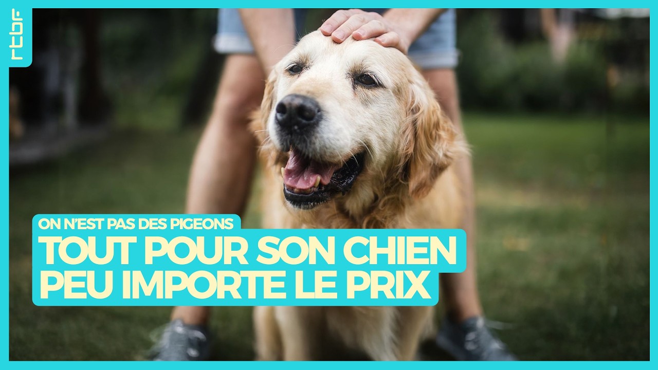 Anything for your dog, no matter the price - We're not suckers