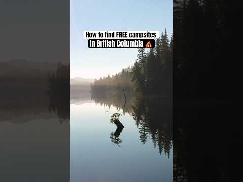 How to find FREE camping in British Columbia 🇨🇦 #canadalife