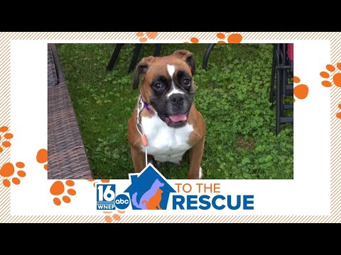 16 To The Rescue: Lola