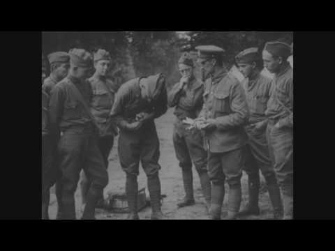 The Somme Offensive Operations, August 8-21, 1918, 33rd and 80th Divisions