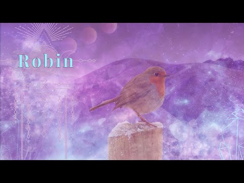 ROBIN Spiritual Meaning 🌈✨ RED ROBIN SYMBOLISM & WHAT HE MEANS? 🌟 🐦 |COLLAB WITH @Auntyflo