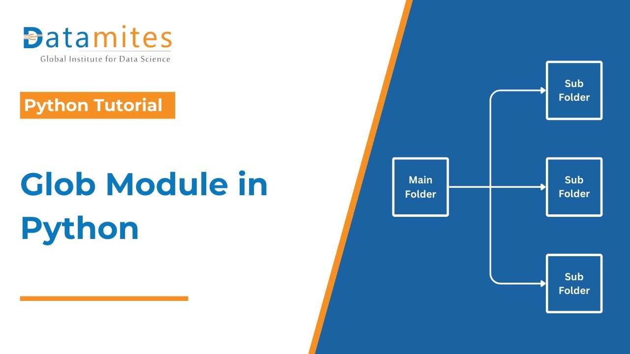 How to Use the Glob Module in Python | Python Tutorial