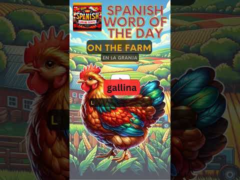 Gallina -Spanish Word of the Day -Learning Spanish Language Secrets #learnspanish @BravetheRooster