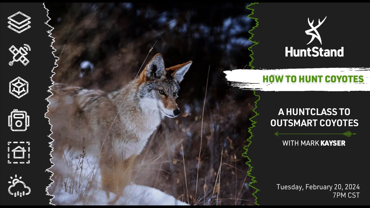 Coyote HuntClass | How to Hunt Coyotes