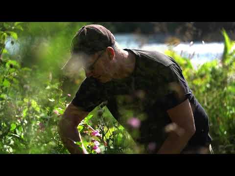 Wild Things's Habitat Restoration Project.  What we do and how we go about it!