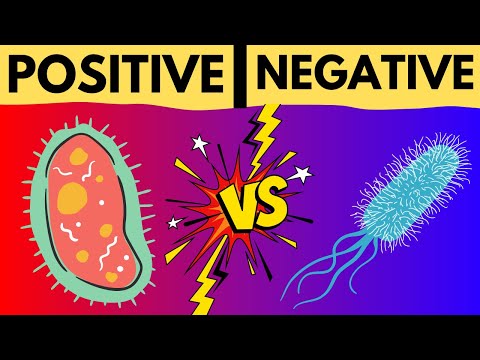 GRAM POSITIVE VS GRAM NEGATIVE BACTERIA - GRAM STAINING TECHNIQUE MADE EASY - EXPLAINED IN 5 MINUTES