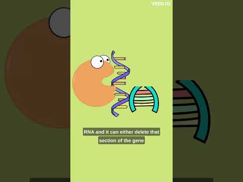 What is CRISPR?