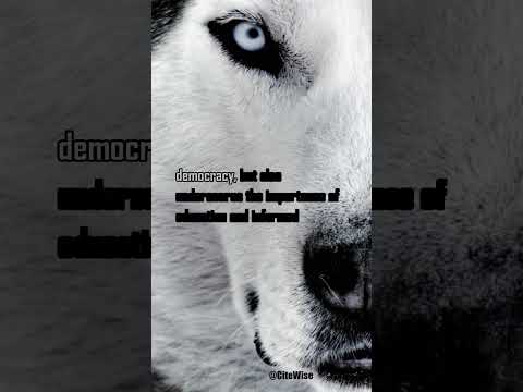 "The best argument against democracy is a five-minute conversation with the average voter. This...