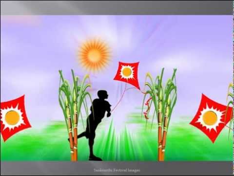 sankranthi festival celebrations images