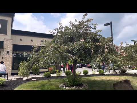 #vloginusa || Adyar Anandha Bhavan (A2B) restaurant in New Jersey, USA.