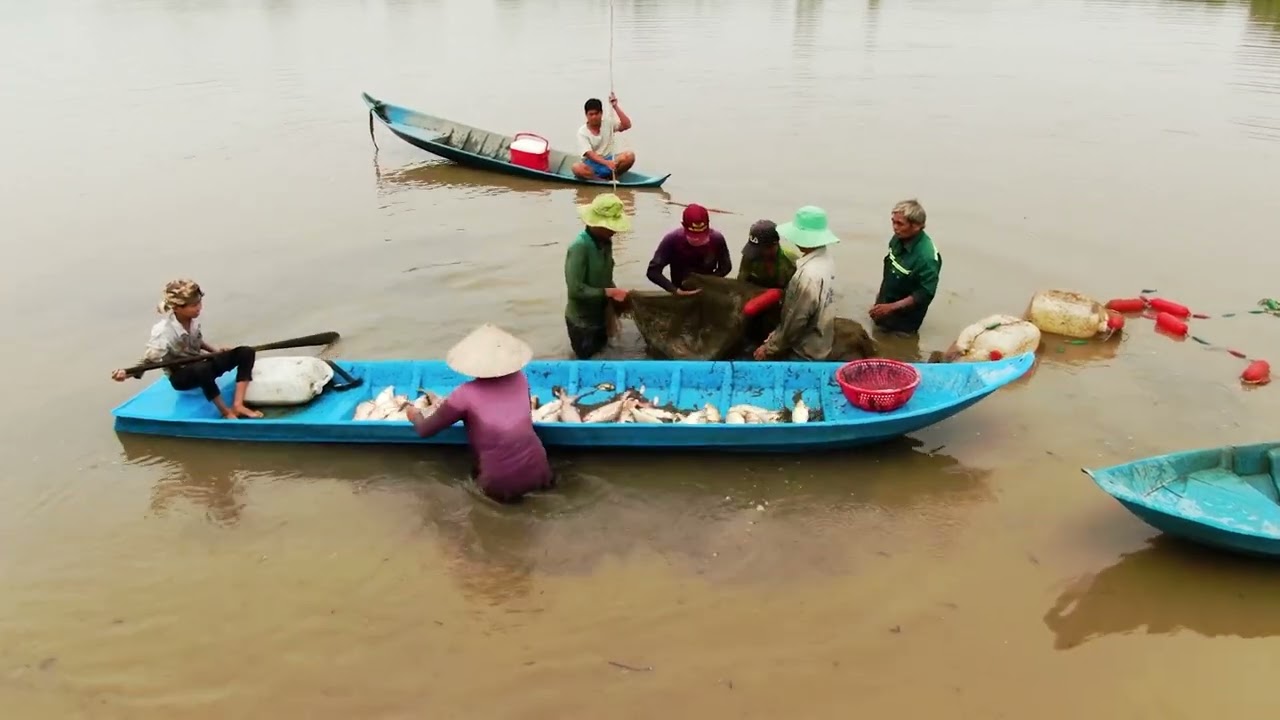 VinaFiS Expo 2026 - Thủy sản Việt Nam vươn mình